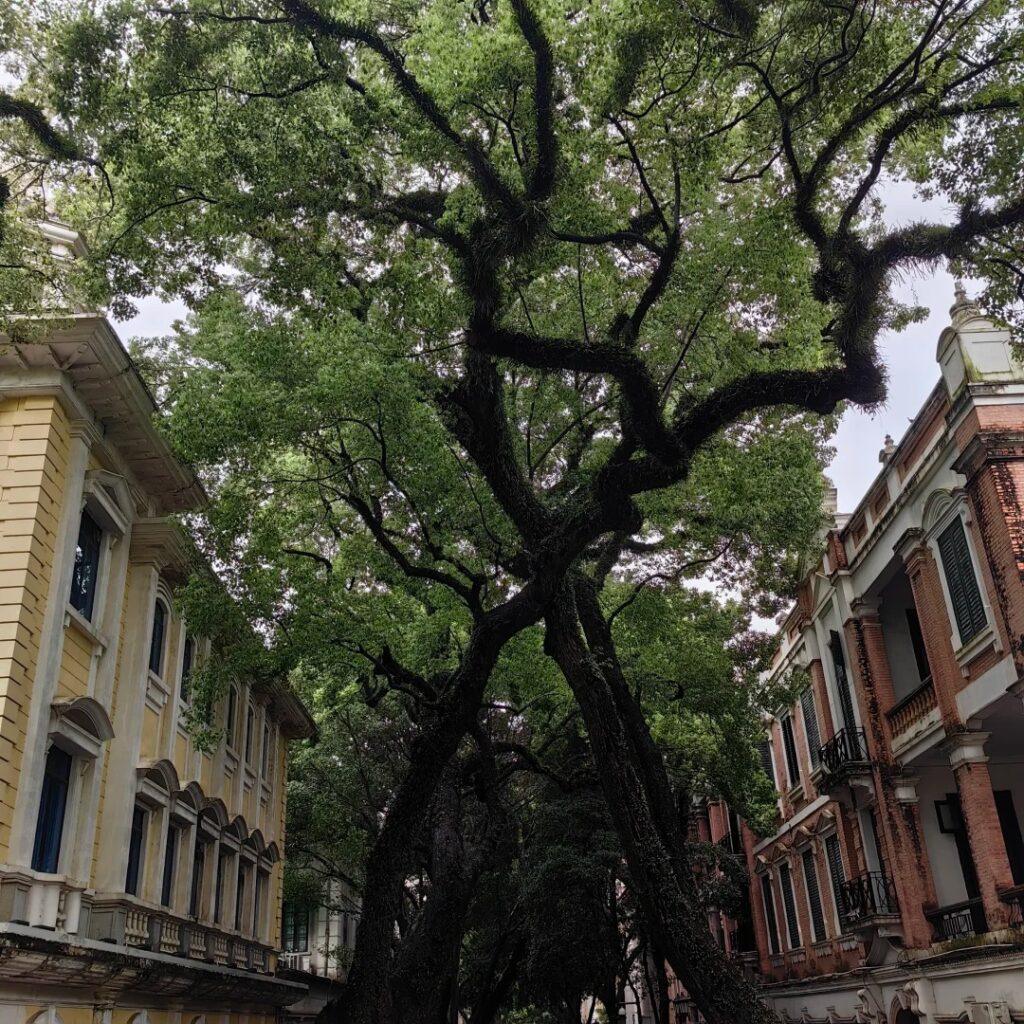 Shamian Island - eTravelToday